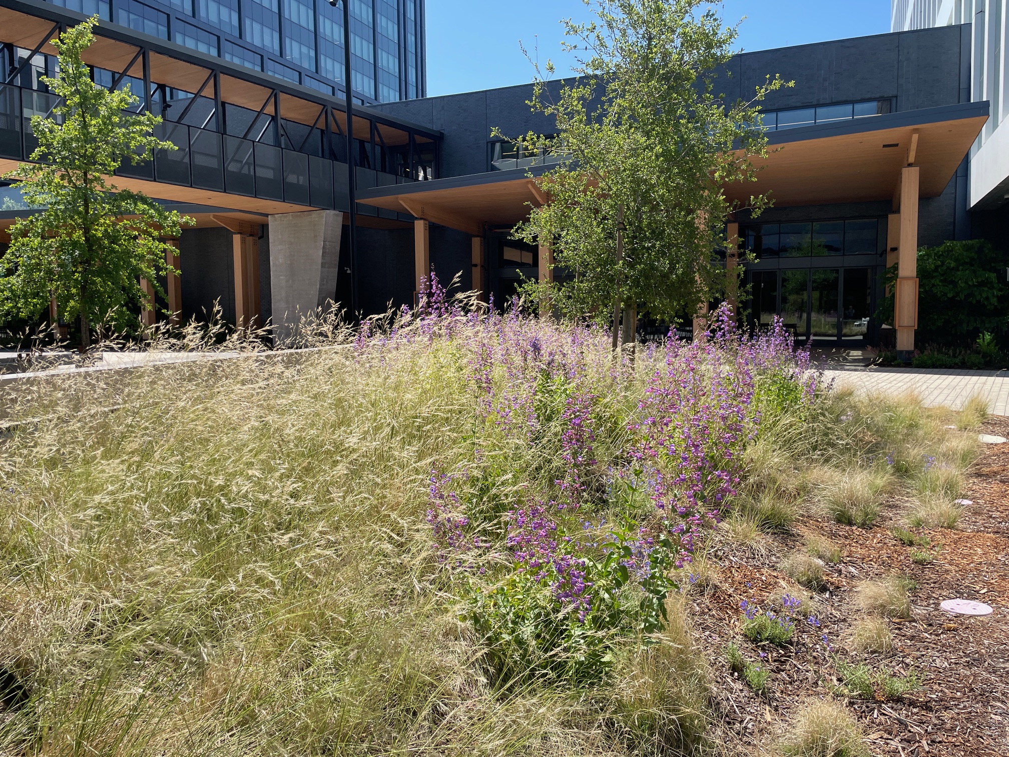 May Lee State Office Complex: Reconnecting the River District to the ...