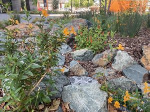 May Lee State Office Complex: Reconnecting the River District to the ...