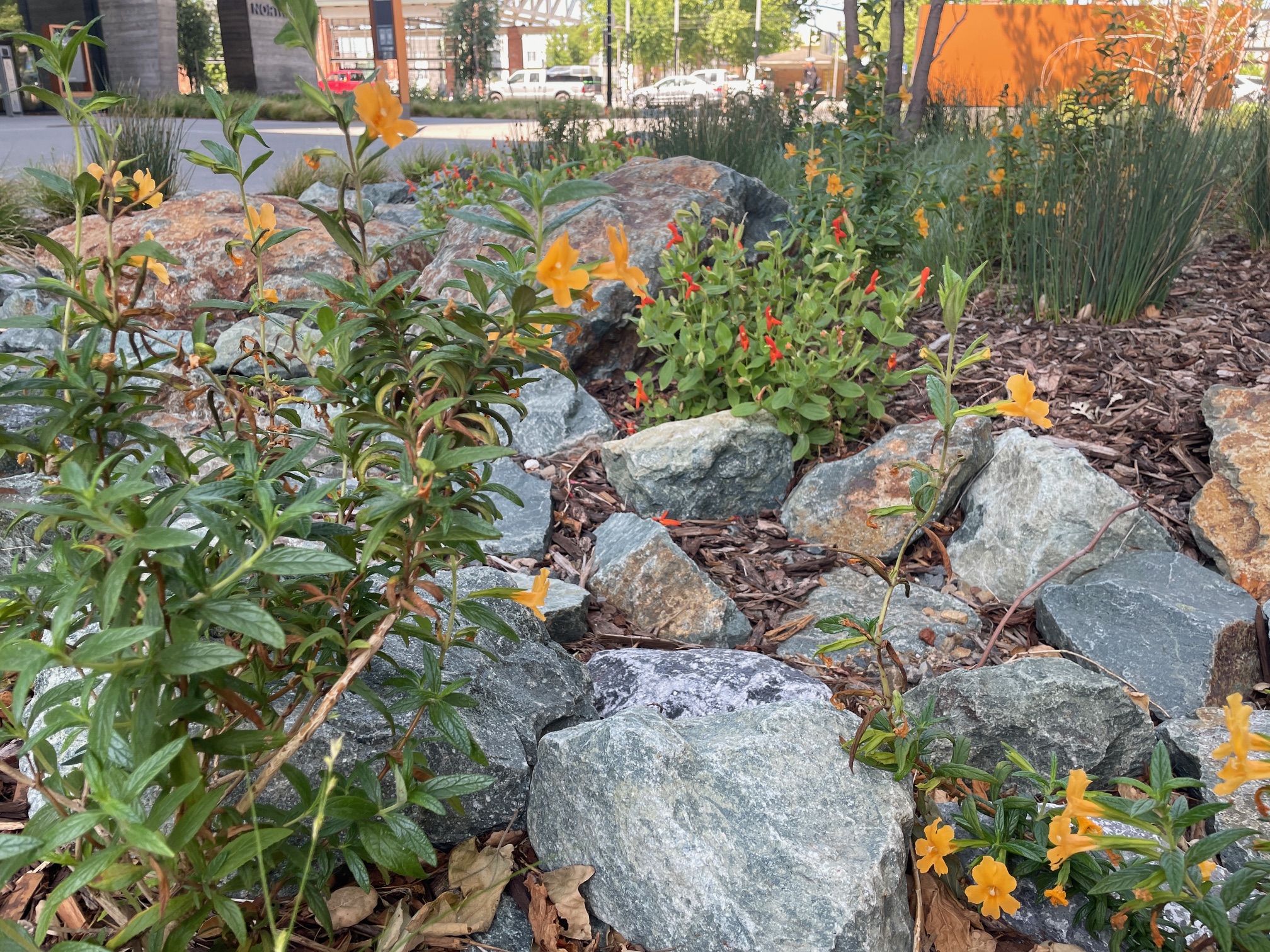 May Lee State Office Complex: Reconnecting the River District to the City and River